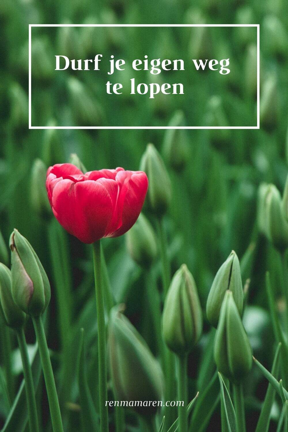 Durf je eigen weg te lopen - Ren mama, ren!